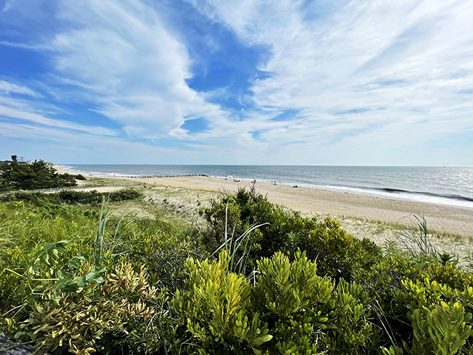 Where dunes meet waves in a timeless dance, Cape Henlopen's shoreline offers front-row seats to the Atlantic's endless performance&mdash;no ticket required.