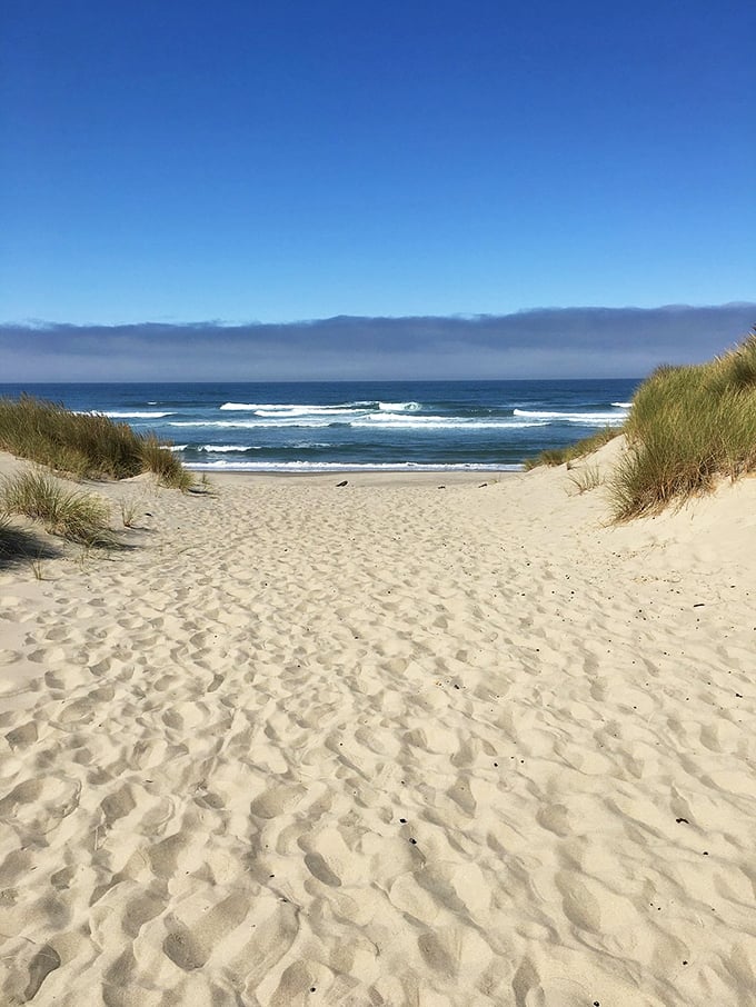 Mother Nature's ultimate screensaver: pristine sand pathways flanked by dune grass leading to the endless Pacific horizon. 