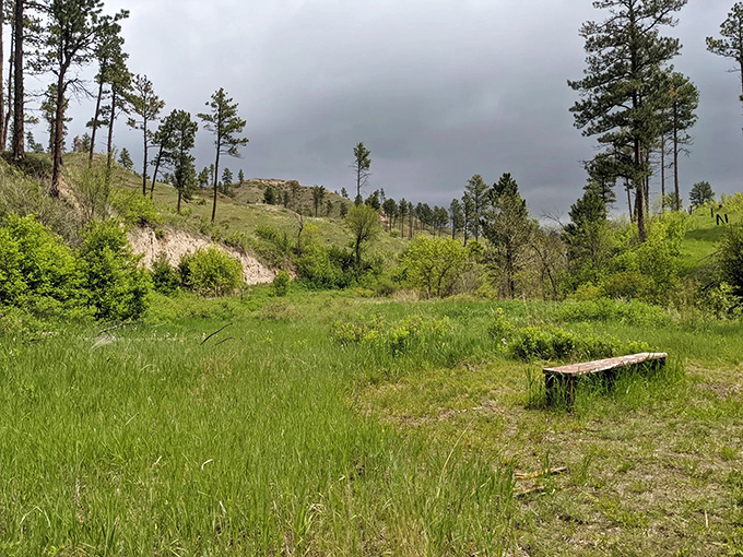 Mother Nature's living room, complete with the most spectacular view. This bench isn't just a rest stop&mdash;it's front-row seating to the show.