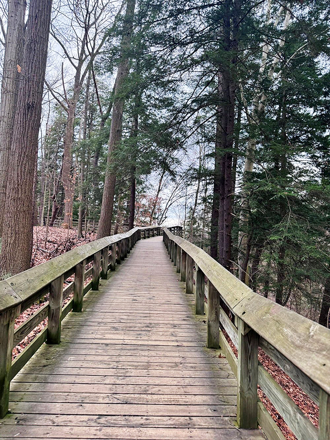 Winter's magic turns Brandywine Falls into nature's ice sculpture garden. Even in frozen form, the waterfall maintains its dramatic flair