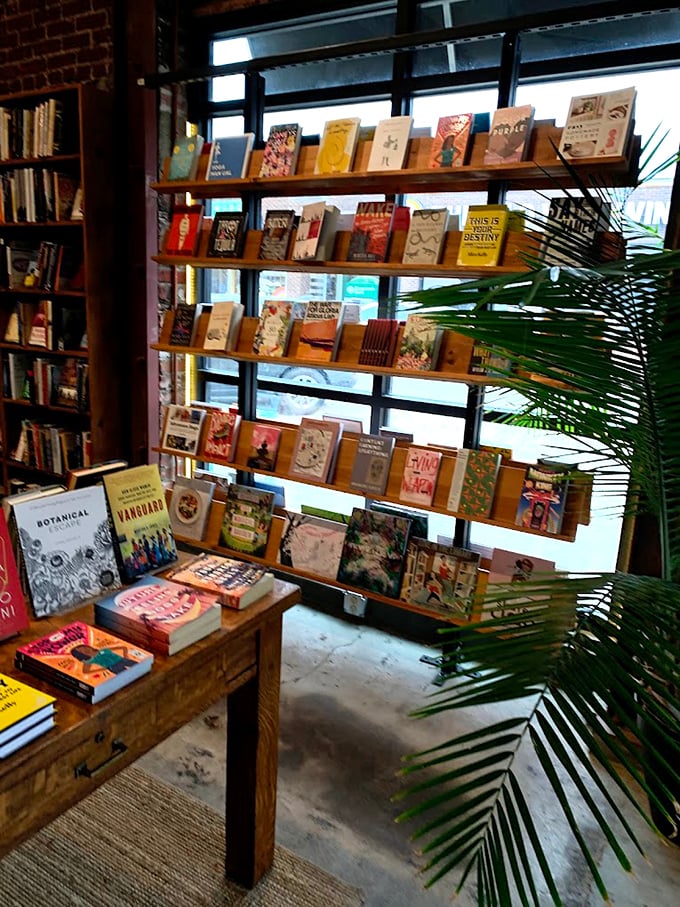 Books displayed like fine art against the window light&mdash;this isn't just retail, it's a gallery where stories wait to be discovered and taken home.