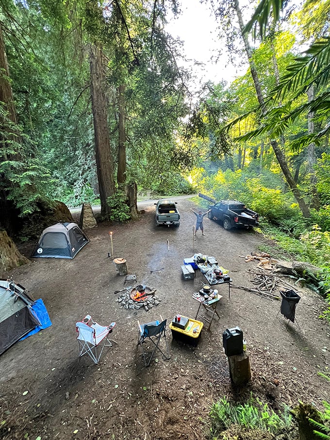 Campsite perfection achieved! Where ancient redwoods stand guard while you debate whether s'mores count as breakfast.