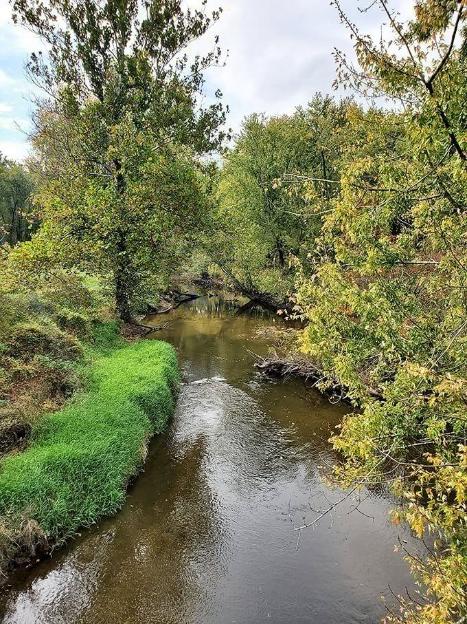 This isn't just any creek&mdash;it's nature's original infinity pool, reflecting sky and trees in equal measure.