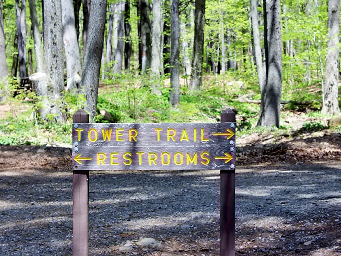 Connecticut's version of life's big questions: Tower Trail or restrooms? Sometimes the journey and necessity align perfectly.