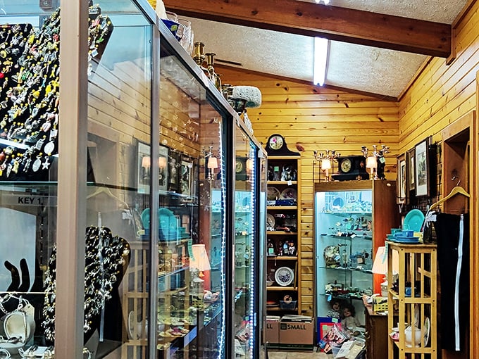 Pine-paneled walls create the perfect backdrop for glass-encased memories. Each cabinet a miniature museum, each shelf a story waiting to be continued in someone's home.