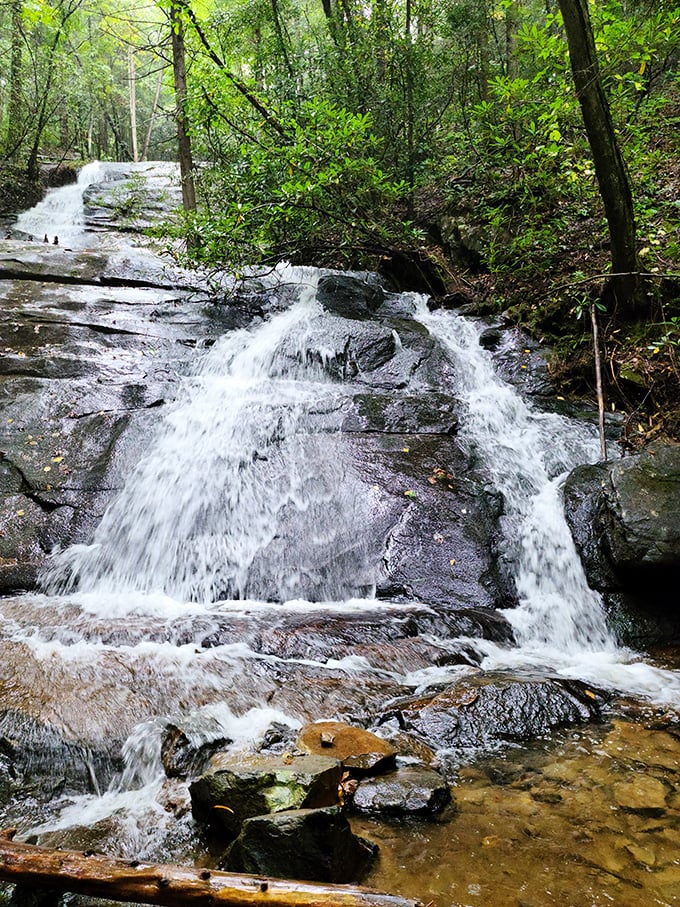 Nature's version of a spa day. This two-tier cascade offers a soothing soundtrack that expensive noise machines try desperately to replicate.