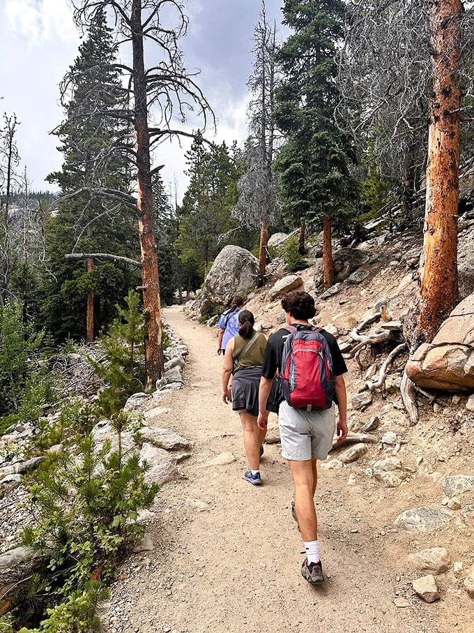 The trail beckons adventurers forward with promises of alpine treasures. No better backdrop exists for those "casual hiking" photos we all pretend were spontaneous.