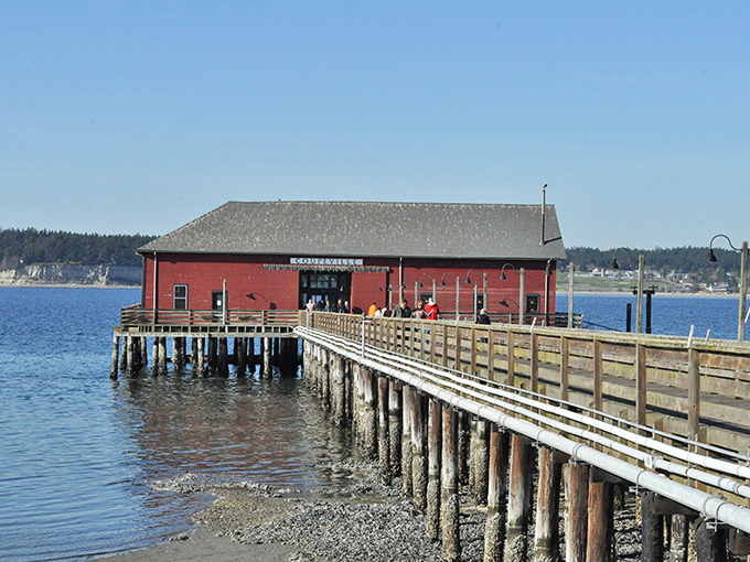 The iconic red wharf building stretches into Penn Cove, a postcard-perfect landmark that's been welcoming visitors and fishermen for generations.