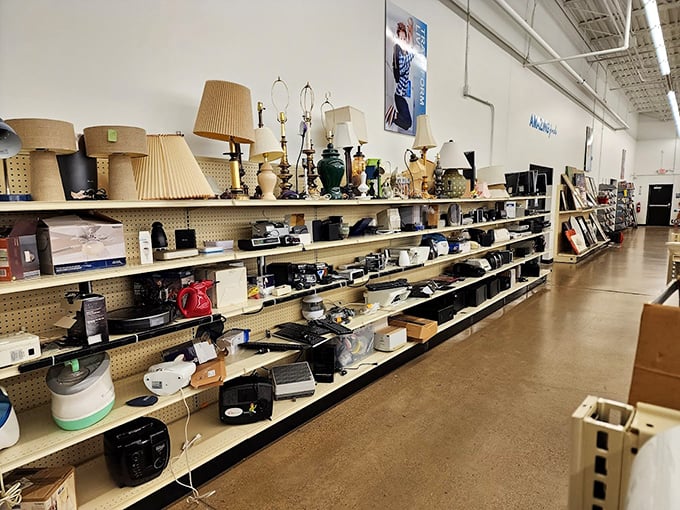 From vintage lamps to modern appliances, the household section is where practical meets nostalgic in the most delightful way.