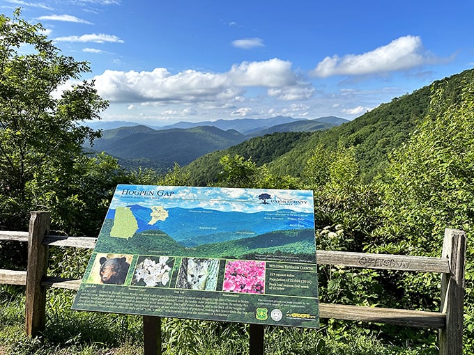 Hogpen Gap delivers what Instagram filters only dream of capturing. The informational sign barely does justice to the panorama beyond.