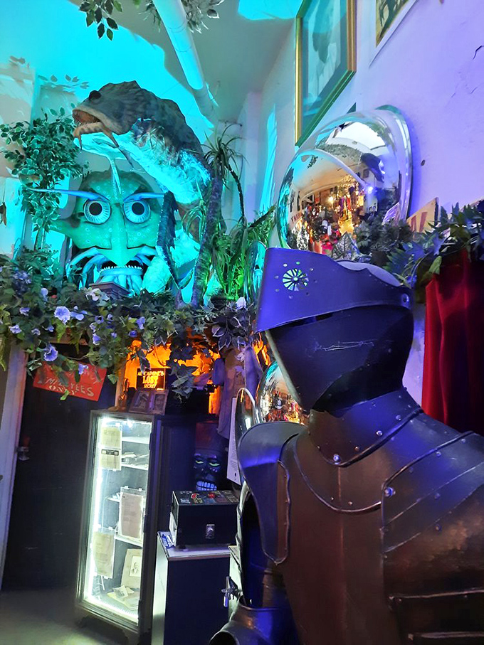 This medieval knight stands guard among the curiosities, his reflective helmet capturing the kaleidoscope of weirdness surrounding him.