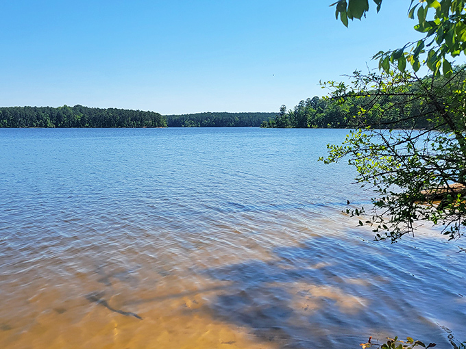 Jordan Lake stretches out like nature's infinity pool, where the water meets sky in a display that no resort can replicate.