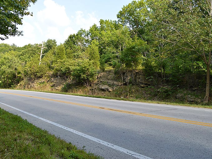 Mother Nature's geology lesson on display. These ancient limestone formations tell Indiana's 300-million-year story better than any textbook ever could.