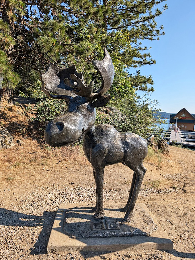 The unofficial greeter of Tubbs Hill, this whimsical moose sculpture stands proudly at attention, as if saying "Welcome to my office."