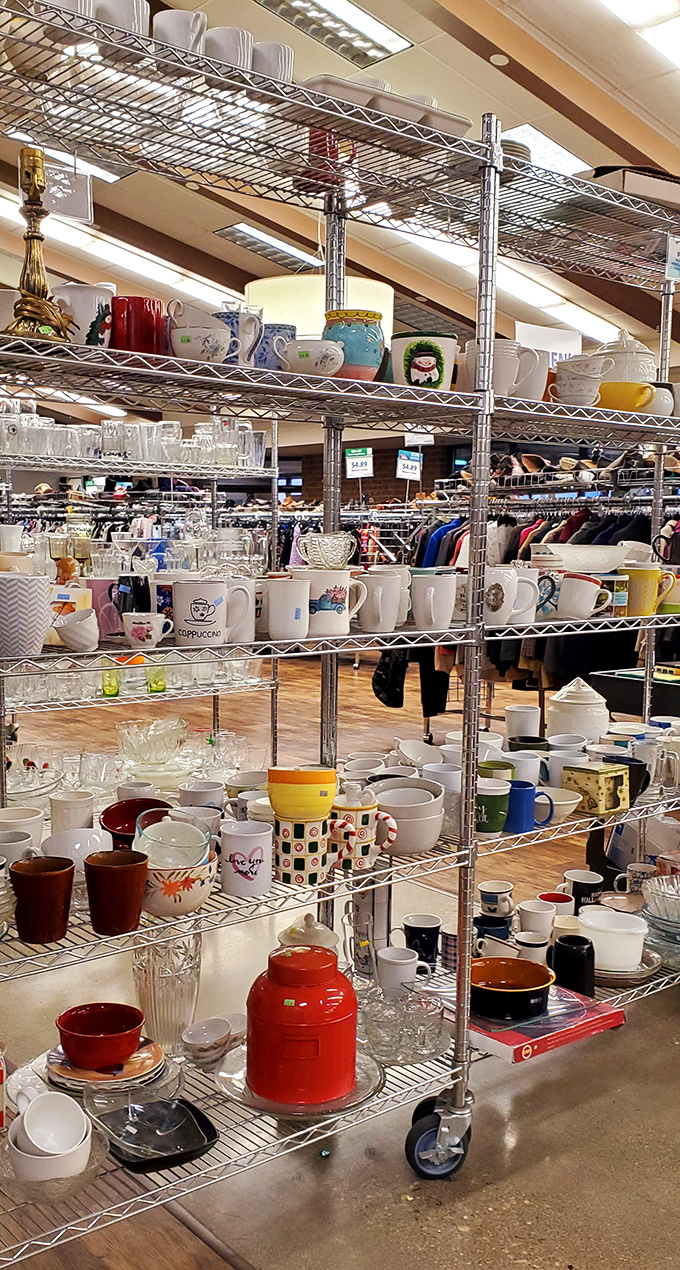 A ceramic United Nations where every mug tells a story. That cappuccino one probably belonged to someone who's never been to Italy.