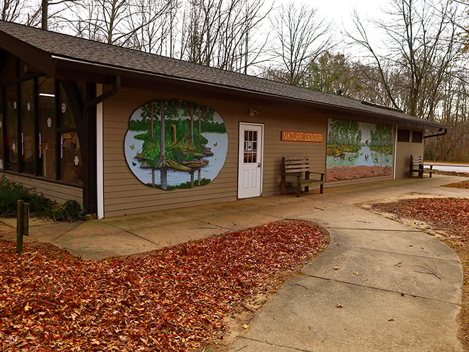 Where education meets whimsy. The nature center's charming murals tell the pond's story better than any textbook ever could.