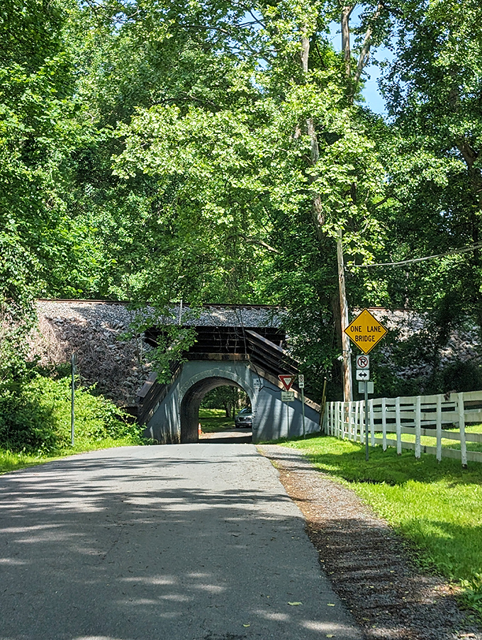 The approach to infamy. This one-lane road leads to Virginia's most legendary bridge, where caution signs seem to warn of more than just traffic.