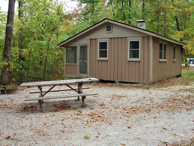 Rustic simplicity that whispers, "Forget your phone charger on purpose." Shakamak's cabins provide just enough comfort without diluting the wilderness experience.