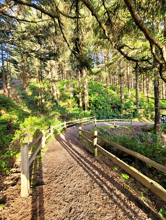 The path to enlightenment&mdash;or at least to a spectacular lighthouse&mdash;winds through a coastal forest that feels like nature's cathedral.