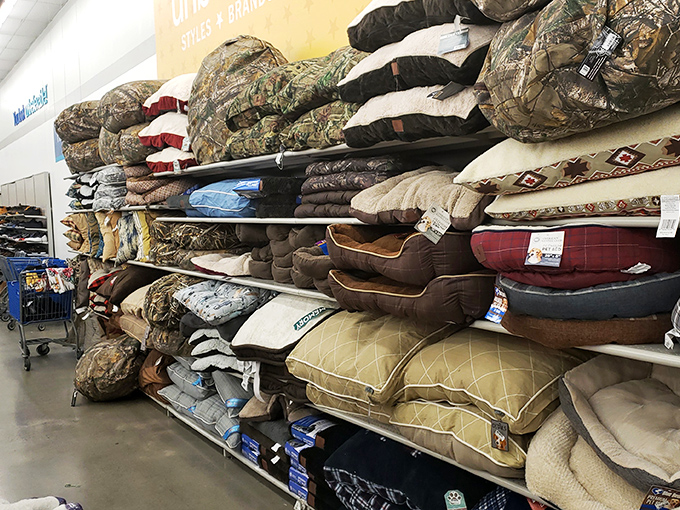 From camouflage to comfort, the pet bed section proves even our four-legged friends deserve designer digs at discount prices.