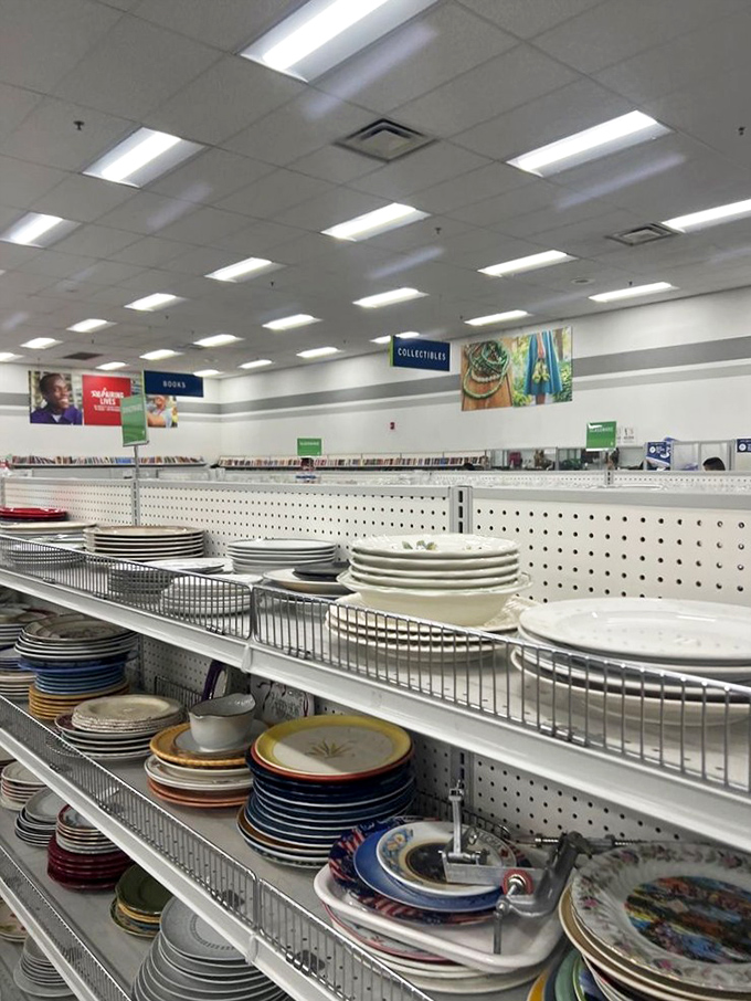 Plate-o-rama! Each dish tells a story—from grandma's Sunday best to that 70s pattern that's somehow cool again. Vintage dining awaits.