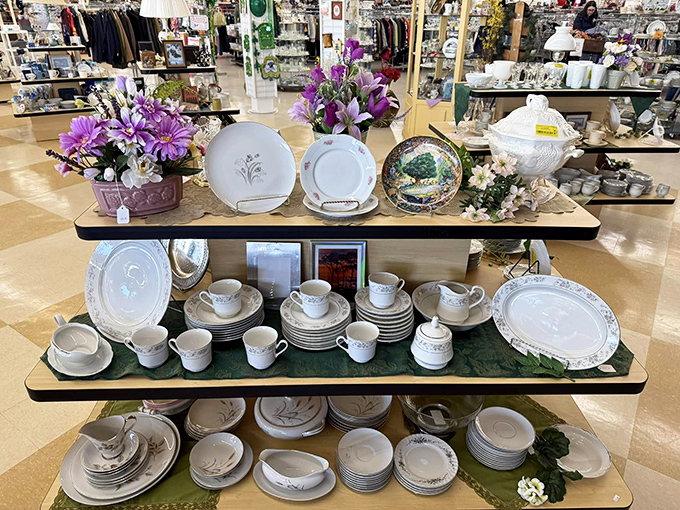 Grandma's china cabinet has nothing on this display. Each plate tells a story, and at these prices, you can afford to listen.