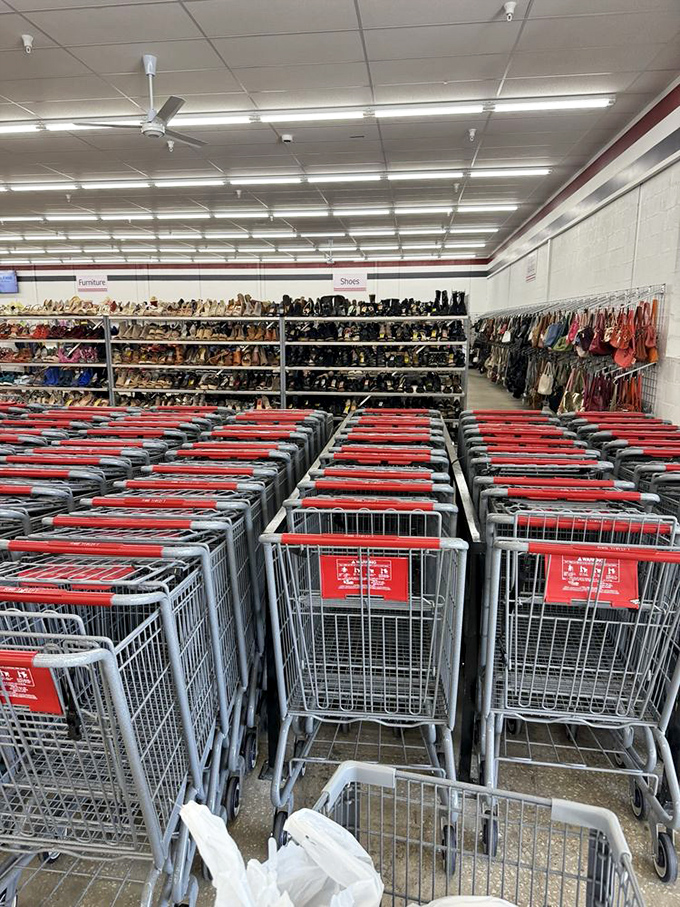 The shopping cart armada stands ready for your thrifting expedition. Like NASA preparing for a moon mission, but your destination is vintage gold.