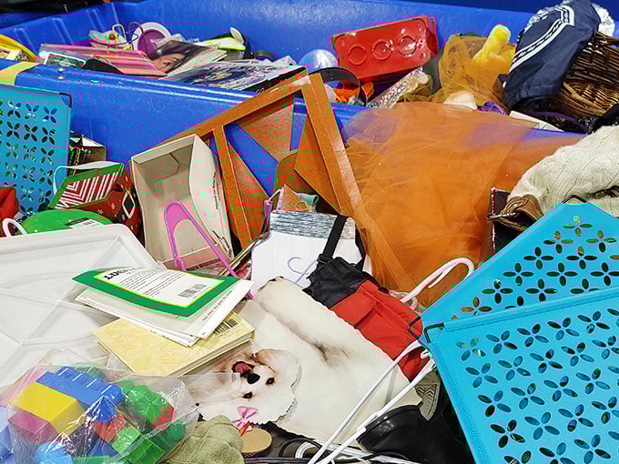 Archaeology for the modern age! Each blue bin contains layers of humanity's cast-offs waiting for someone to declare, "This! This is treasure!"