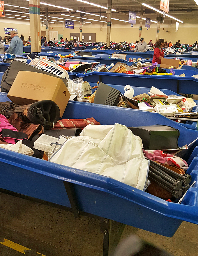 Every bin tells a story. Like a literary potluck where someone brought vintage leather jackets and someone else brought... is that a waffle maker?