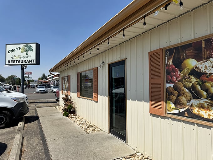 Odeh's Mediterranean Restaurant proves Elko's culinary scene extends beyond Basque cuisine&mdash;though I'd bet good money those olives would make any Pyrenean shepherd feel right at home.