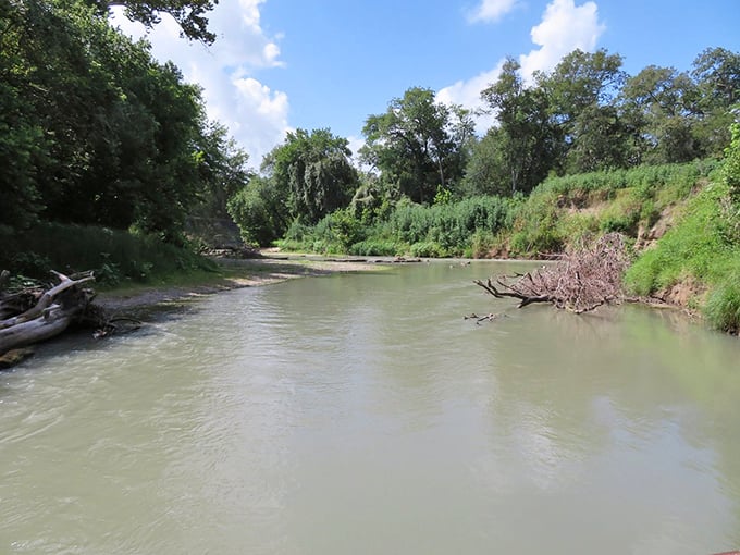 The San Marcos River flows with quiet determination, carving its path through the park like nature's own highway&mdash;no traffic jams, just the occasional turtle crossing.