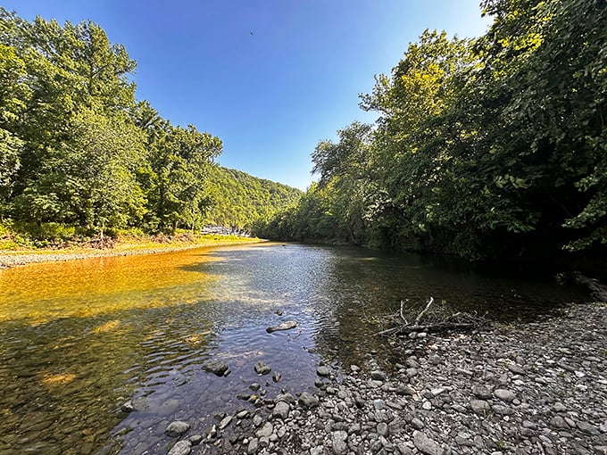 The Buffalo National River flows with purpose, carving its ancient path through the Ozarks &ndash; Mother Nature's original highway system, no tolls required.