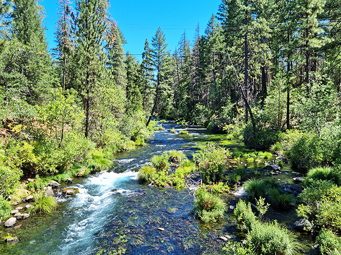 Upstream from the main event, Burney Creek meanders through pine-scented wilderness like nature's own lazy river.