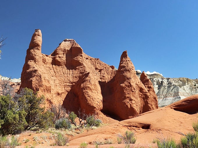 These magnificent stone spires aren't just rocks; they're time travelers that have been standing sentinel for millions of years.