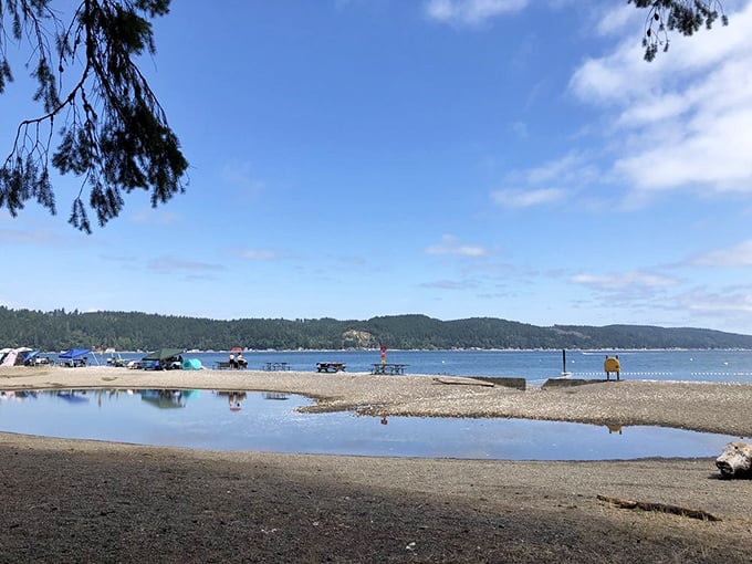 Nature's kiddie pool! Shallow waters warm up under the Washington sun, creating the perfect splash zone for reluctant swimmers and sandcastle architects.