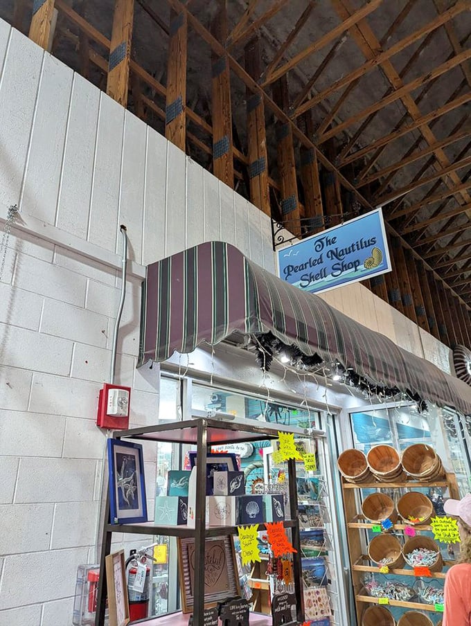 The Pearled Nautilus Shell Shop brings the ocean indoors, offering coastal treasures that let you take a piece of Florida's beaches home.