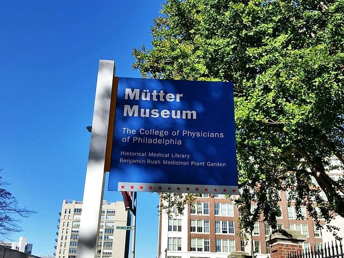 A sunny Philadelphia day frames the museum's entrance sign, promising visitors a journey through medical history that's equal parts educational and extraordinary.
