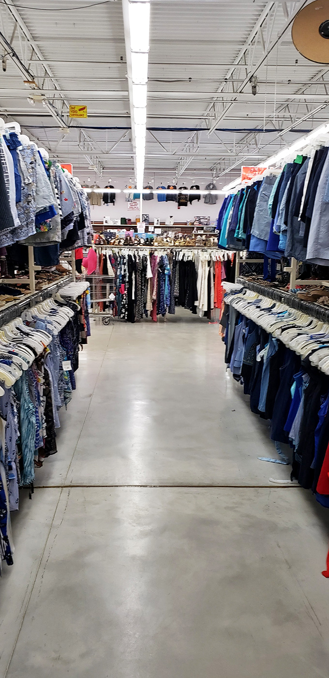 Aisles stretch like highways of possibility, each one a potential path to that perfect find you never knew you needed.