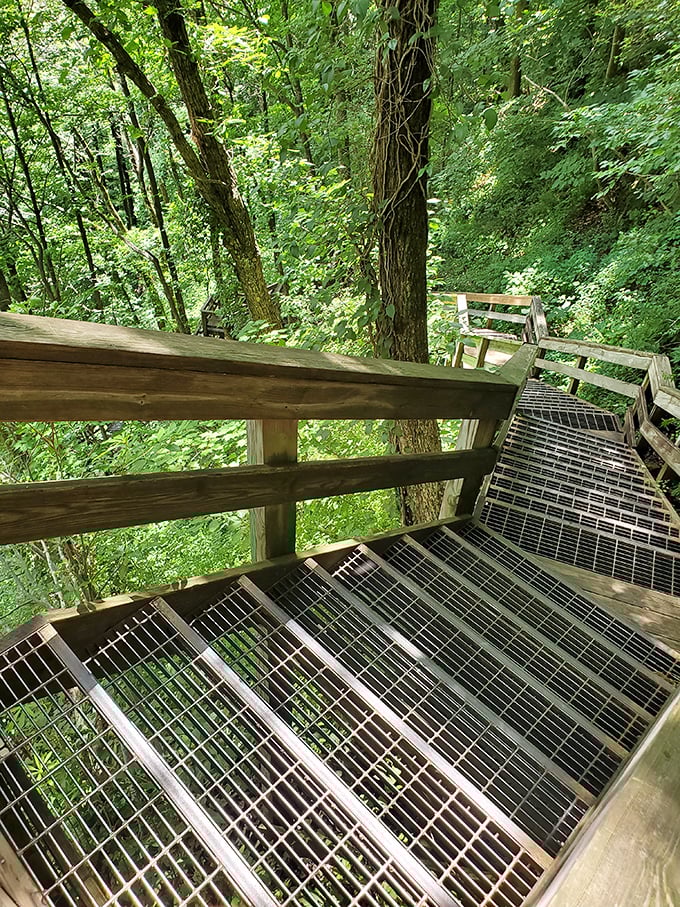 Stairway to heaven? More like stairway to jelly legs. These wooden steps offer both breathtaking views and a free cardio workout that no gym membership can match.