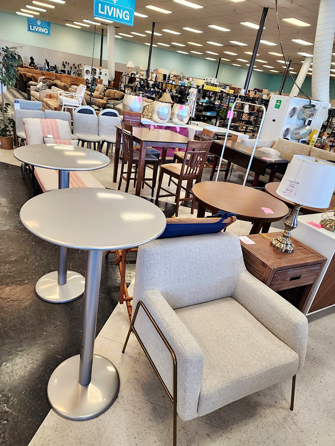 A furniture showroom that tells a hundred stories. Each chair and table once starred in someone else's life before waiting here for its sequel.