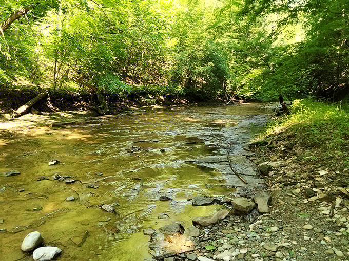Sugar Creek flows gentle and clear, a welcome sight for hot hikers and the perfect backdrop for those "look-how-peaceful-I-am" selfies.