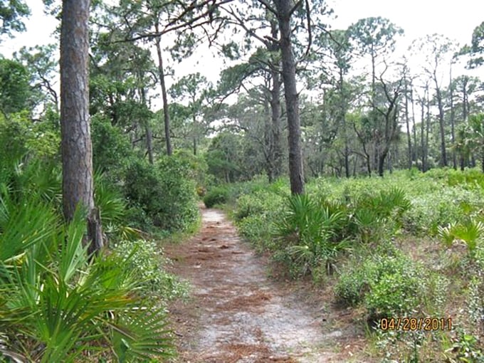 Nature's hallways beckon with sandy trails winding through native palmettos and pines&mdash;Florida's original walking meditation.