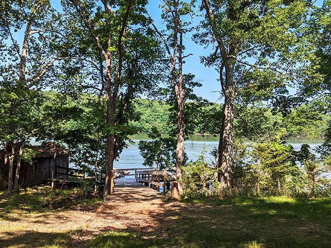 The pathway to tranquility beckons through a natural archway of trees, leading visitors to discover the lake's serene embrace.