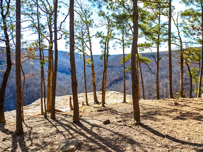 Winter's bare branches create nature's perfect picture frame, revealing expansive Ozark vistas that remain hidden during leafier seasons.