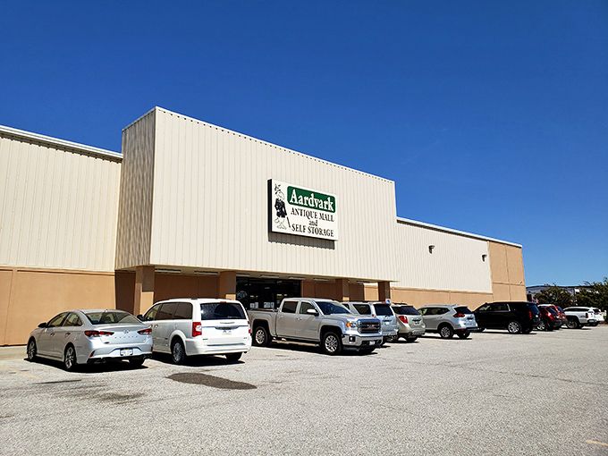 Bargain hunter's paradise under blue skies. This pop-up marketplace transforms ordinary parking lots into extraordinary treasure troves! 