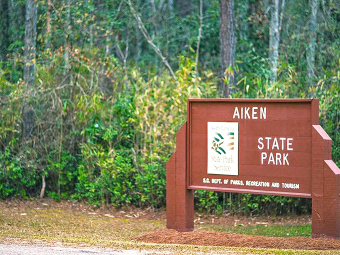 Aiken State Park's entrance sign: where cell service fades and your blood pressure drops by at least 10 points.