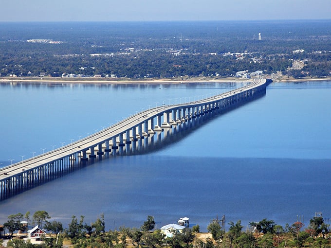 Lush greenery frames this peaceful park path, where the only traffic jam involves squirrels arguing over acorn rights. 