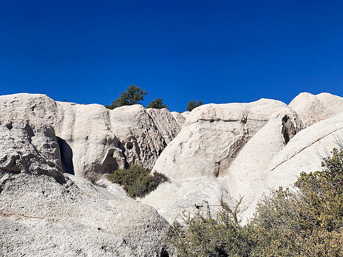 White rock formations at Beaver Dam State Park stand like nature's modern art installation. Michelangelo would've traded his chisel for this view!