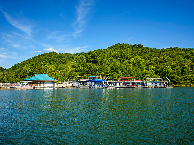 Buckhorn Lake's mirror-like surface captures the perfect Kentucky morning – serenity you can almost hear.