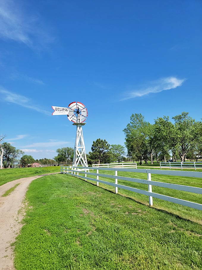 Niobrara's sweeping vista unfolds like a living map. Who needs drones when you've got views like this? 